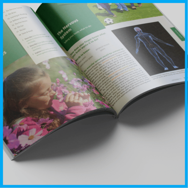 Comparing Binding Methods: Perfect Binding, Saddle-Stitching, and Coil ...